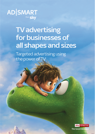 Sky Adsmart – Web Design & Digital Marketing – Strive Digital